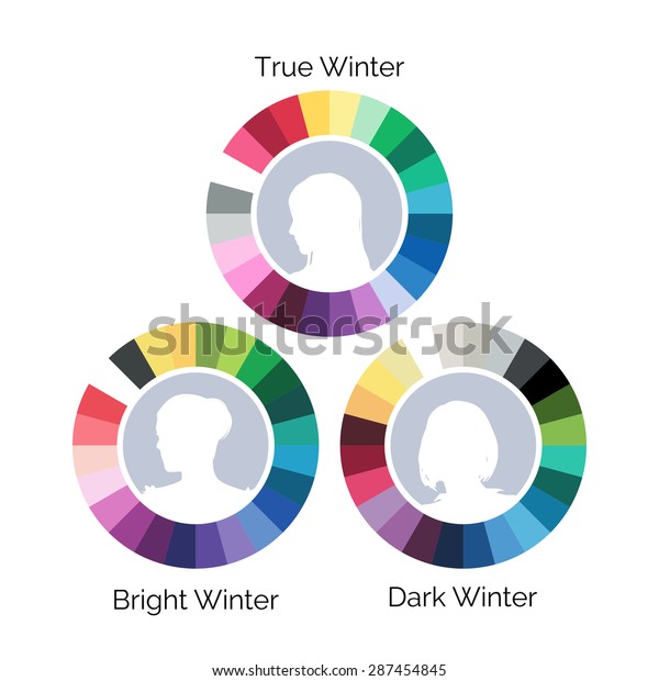 Winter Type Color Palettes Three Variations Stock Vector (Royalty Free ...
