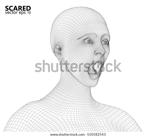 Wireframe Concerned Scared Woman 3d Computer Stock Vector (Royalty Free ...