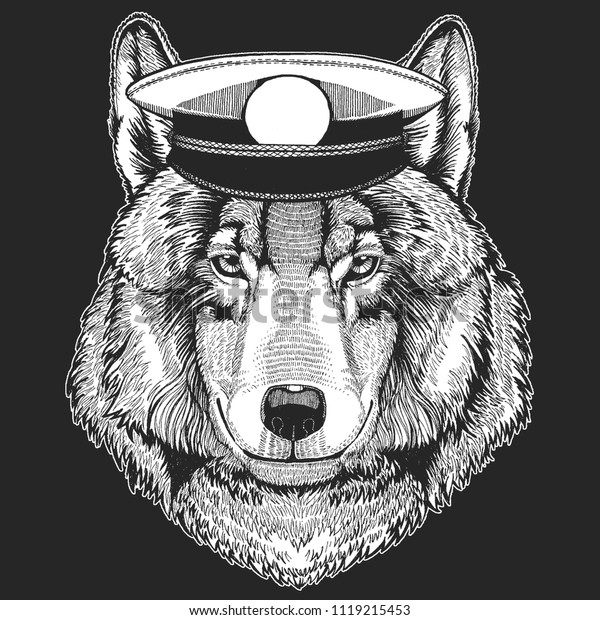 Wolf Dog Vector Print Children Capitan Stock Vector (Royalty Free ...