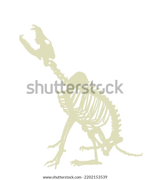 Wolf Skeleton Vector Silhouette Illustration Isolated Stock Vector ...