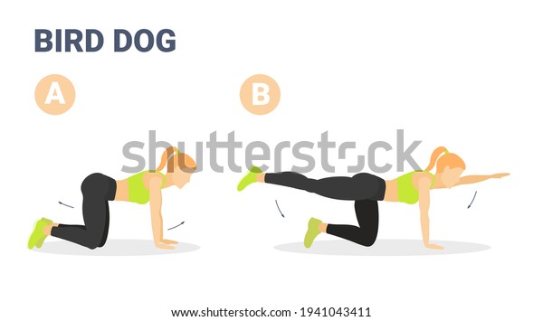 Woman Doing Bird Dog Exercise Illustration Stock Vector (Royalty Free ...