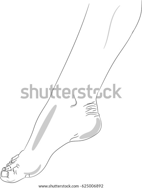Woman Foot Body Illustration Vector Stock Vector Royalty Free 625006892