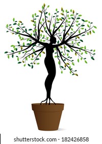11,216 vectores de Woman tree life - Vectores, imágenes y arte ...