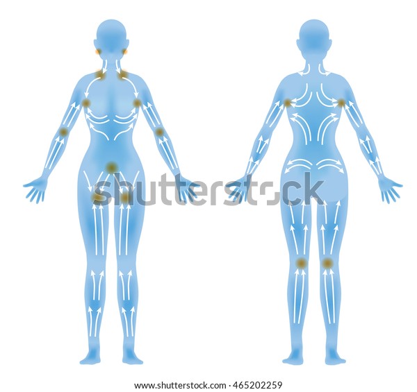 Womans Body Front Back Lymphatic Massage: เวกเตอร์สต็อก (ปลอดค่า ...