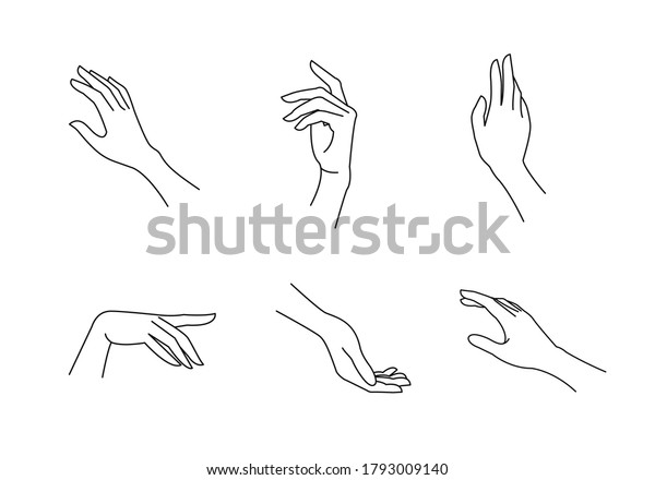 Womans Hand Line Art Style Female Stock Vector (Royalty Free ...