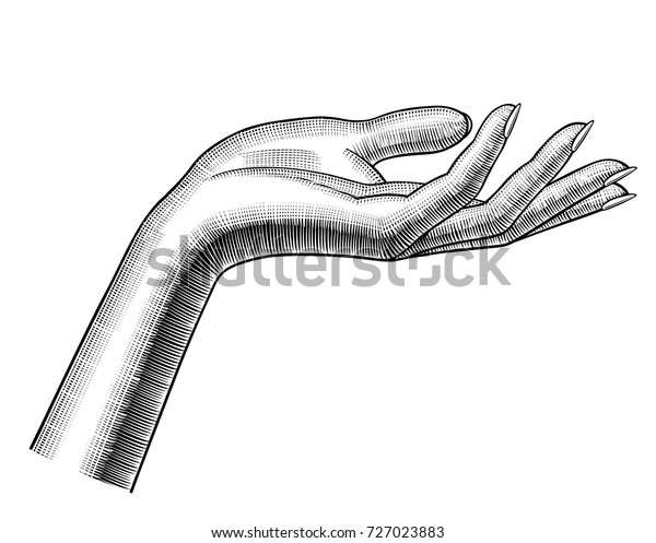 Womans Hand Stretching Palm Vintage Engraving Stock Vector (Royalty ...