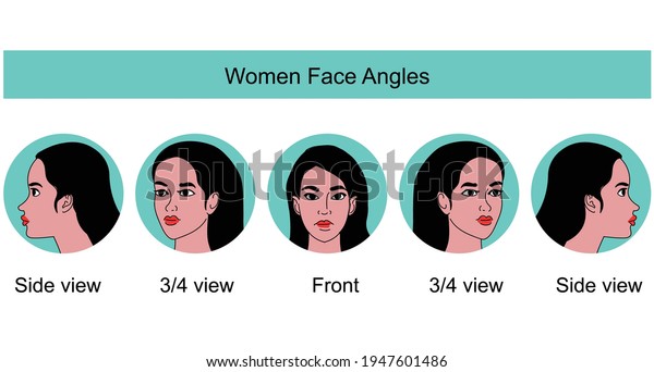 Women Face Angles Poses Cute Girl Stock Vector (Royalty Free ...