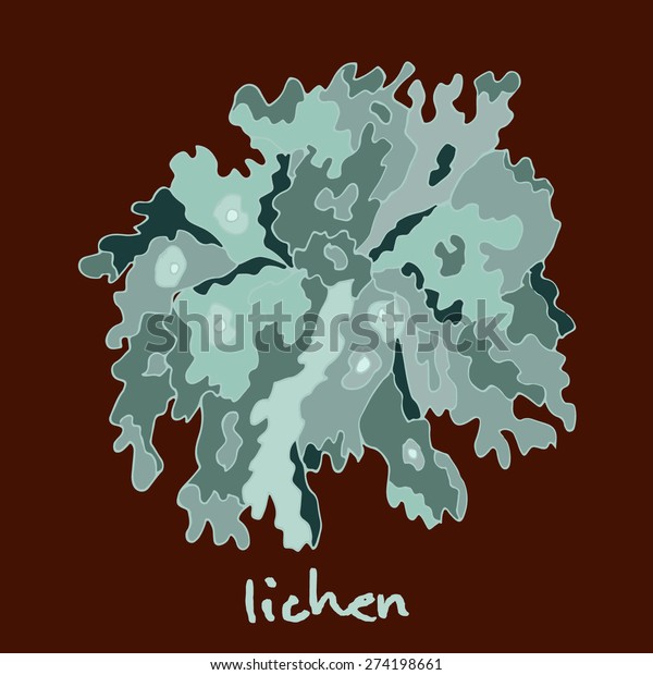 Wood Lichen Stock Vector (Royalty Free) 274198661