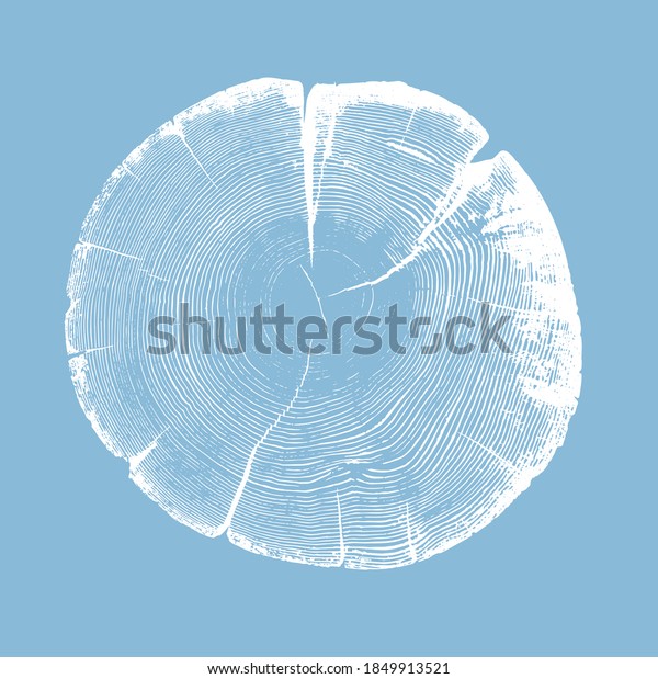 Wood tree art texture stamp for card or background. Detailed tree ring ...