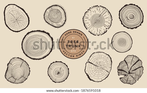Wood Tree Trunk Rings Hand Drawn Stock Vector (Royalty Free) 1876591018