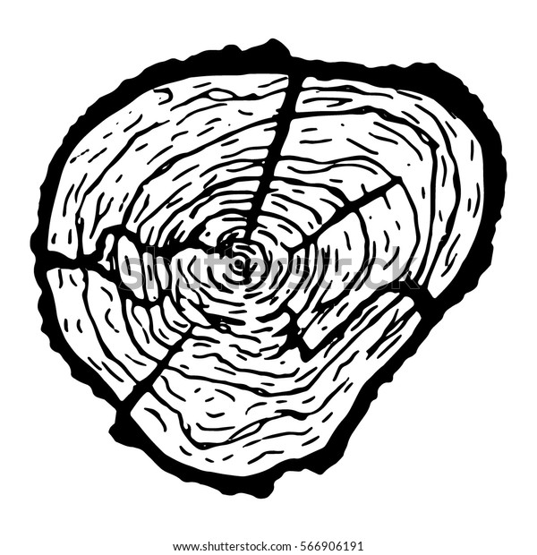 Wooden Cross Section Vector Illustration 스톡 벡터(로열티 프리) 566906191 ...