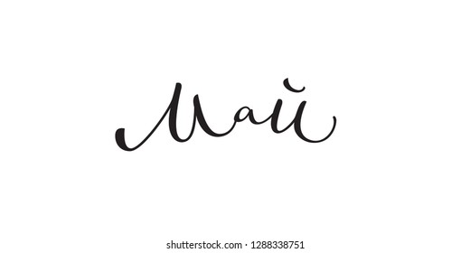 Word May Written Elegant Modern Calligraphy Stock Vector (Royalty Free ...