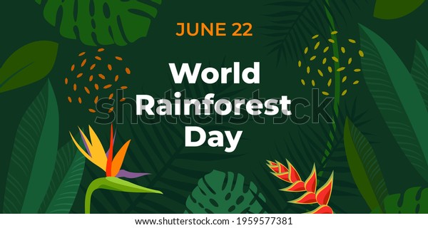 World Rainforest Day Vector Banner Social Stock Vector (Royalty Free ...