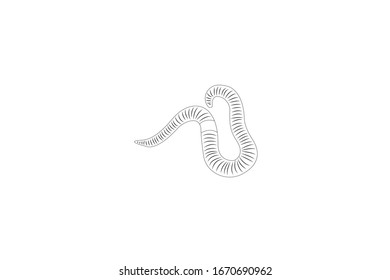 Worm Animal Cartoon Vector Outline Illustration Stock Vector (Royalty ...