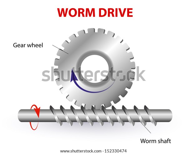 Worm Drive Vector Diagram Protrusion On Stock Vector (Royalty Free ...