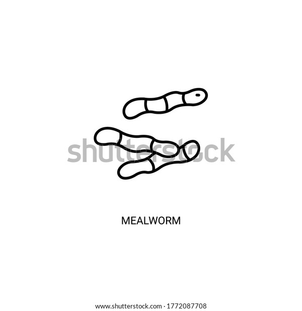 Worm Mealworm Simple Thin Line Icon Stock Vector (Royalty Free ...