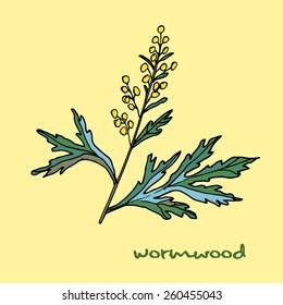 Wormwood Wormwood Branch Wormwood Flowers Leaves: vector de stock ...