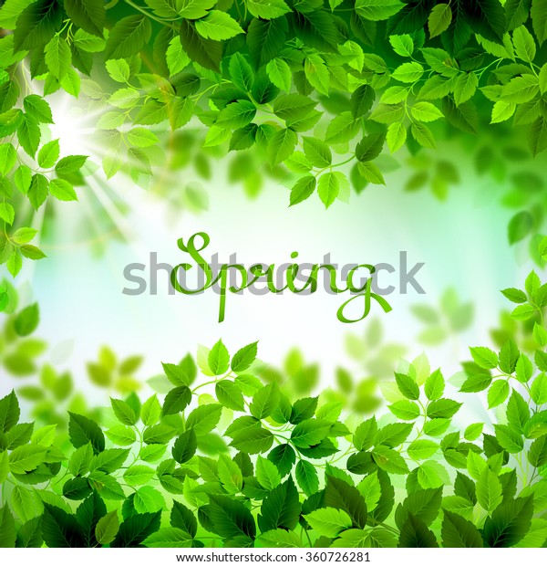 Written Word Spring Season Branches Fresh Stock Vector (Royalty Free ...
