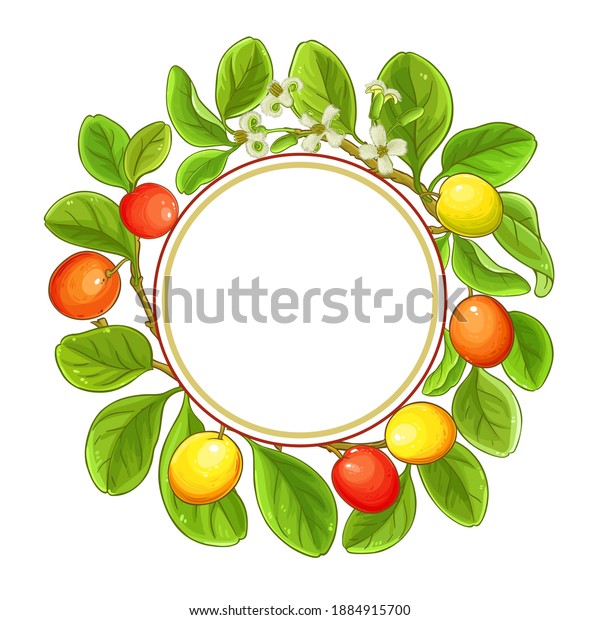 Ximenia Vector Frame On White Background Stock Vector (Royalty Free ...