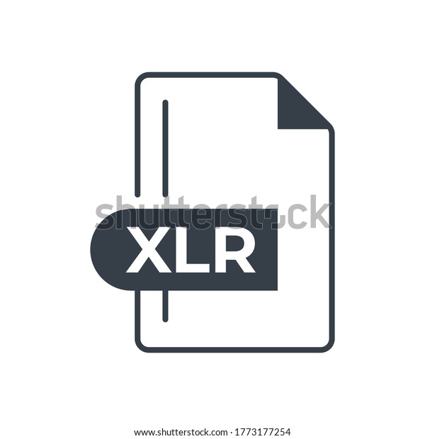 Xlr File Format Icon Xlr Extension Stock Vector (Royalty Free ...