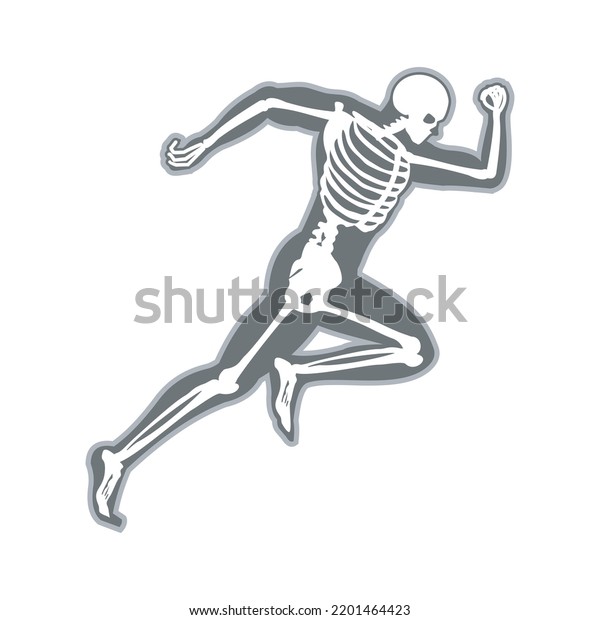 Xray Human Body Man Skeleton Running Stock Vector (Royalty Free ...