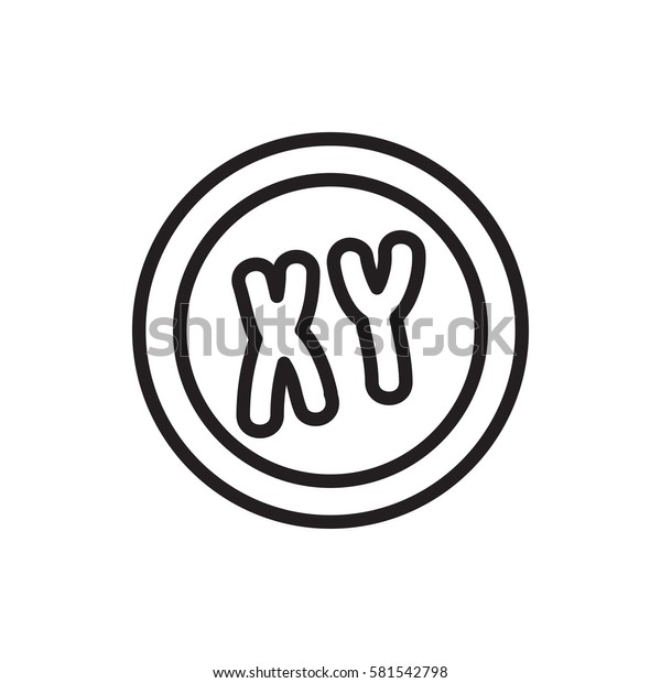 Xy Icon Illustration Isolated Vector Sign Stock Vector (Royalty Free ...