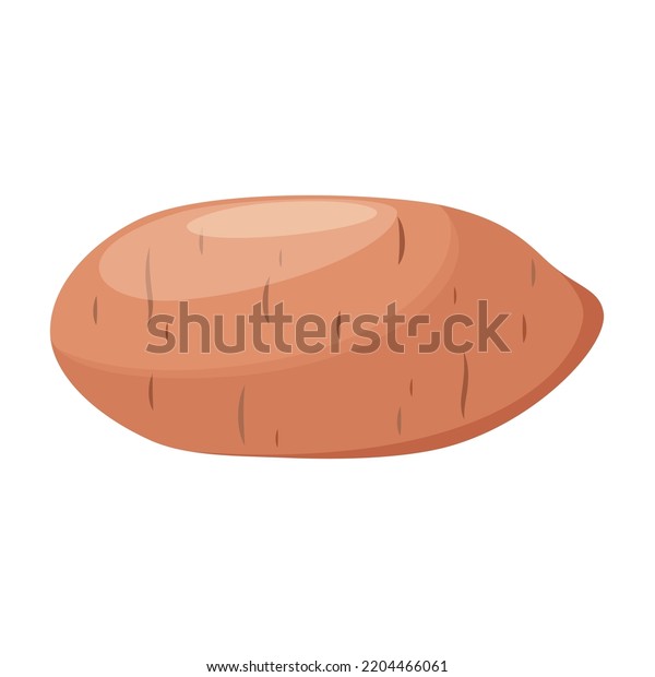 Yam On White Background Vegetable Cartoon Stock Vector (Royalty Free ...