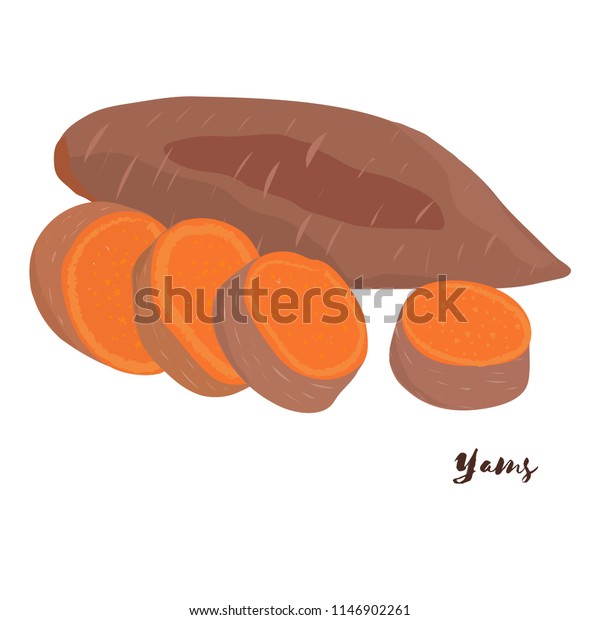 Yams Flat Design Vector Illustration Stock Vector (Royalty Free ...