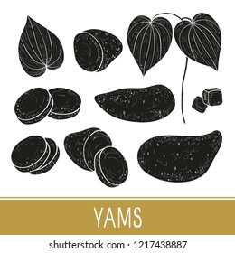 Yams Tuber Sheet Vegetable Set Black Stock Vector (Royalty Free ...