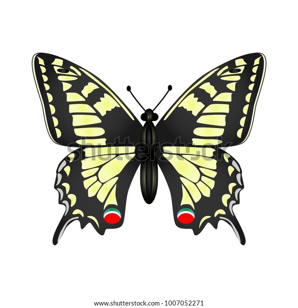 Yellow Butterfly Vector Illustration Isolated On Stock Vector (Royalty ...