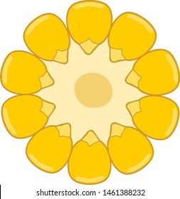 Yellow Corn Cob Cross Section Isolated Stock Vector (Royalty Free ...