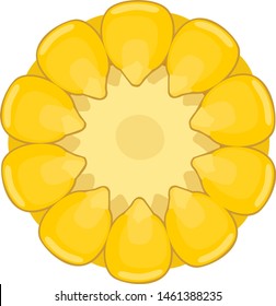 Yellow Corn Cob Cross Section Isolated Stock Vector (Royalty Free ...