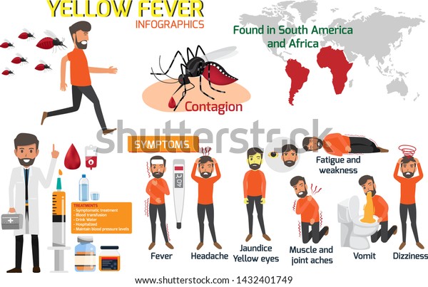 Yellow Fever Infographic Elements Symptoms Preventions Stock Vector ...
