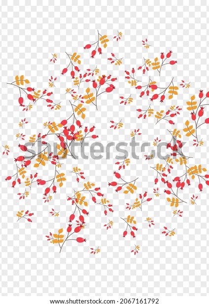 Yellow Foliage Background Transparent Vector Berries Stock Vector ...