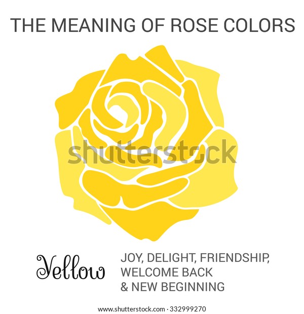 Yellow Rose Infographics Vector Illustration Isolated Stock Vector ...