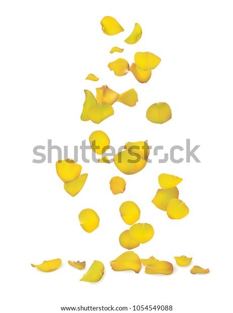 Yellow Roses Petals Falling Down Spring Stock Vector (Royalty Free ...