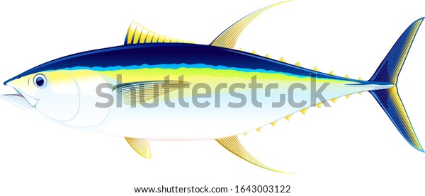 Yellowfin Tuna Fish Side View Realistic Stock Vector (Royalty Free ...