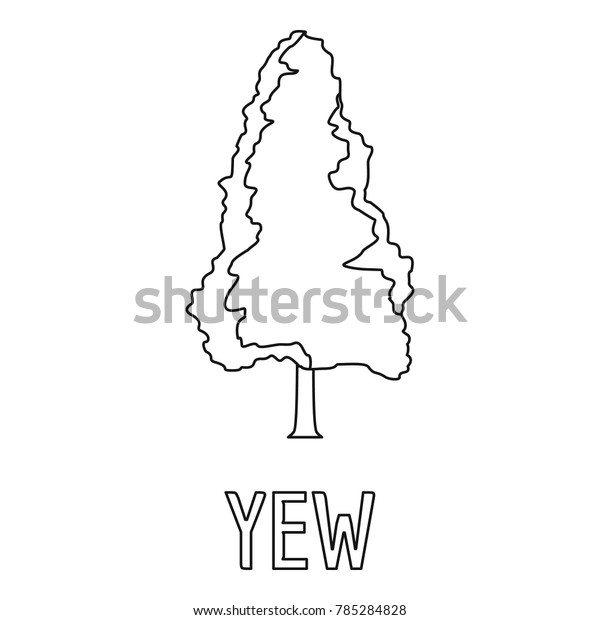 Yew Icon Outline Illustration Yew Vector Stock Vector (Royalty Free ...