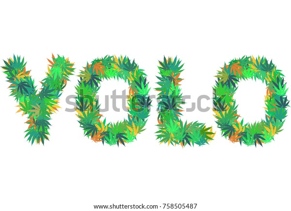 Yolo Word Isolated On White Background Stock Vector (Royalty Free ...