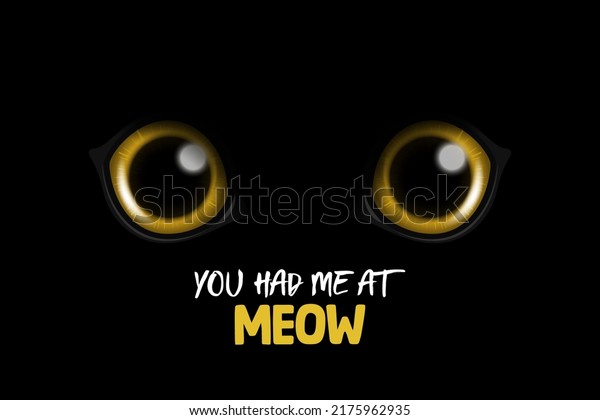 30 You Had Me A Meow Background Vector Images, Stock Photos & Vectors ...