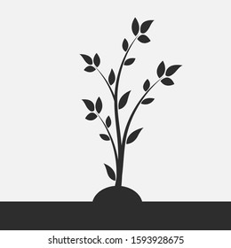 Young Flowering Tree Sapling Silhouette Branch Stock Vector (Royalty ...