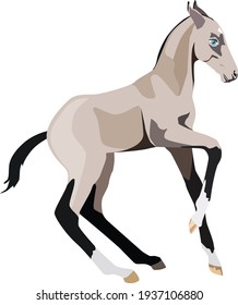 Young Gray Colt Vector Illustration Stock Vector (Royalty Free ...