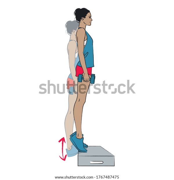 26 Physical Exercise Calf Raise Images, Stock Photos & Vectors ...
