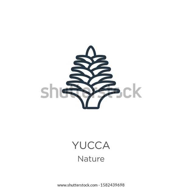Yucca Icon Thin Linear Yucca Outline Stock Vector (Royalty Free ...