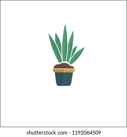 Yucca Plant Vector Stock Vector (Royalty Free) 1192064509 | Shutterstock