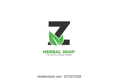Z Leaf Logo Design Inspiration Vector Stock Vector (Royalty Free ...