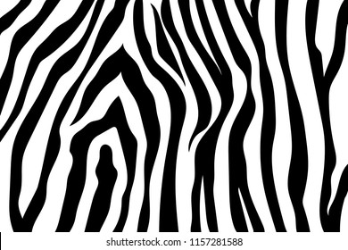 Zebra Stripes Pattern Zebra Print Animal Stock Vector (Royalty Free ...