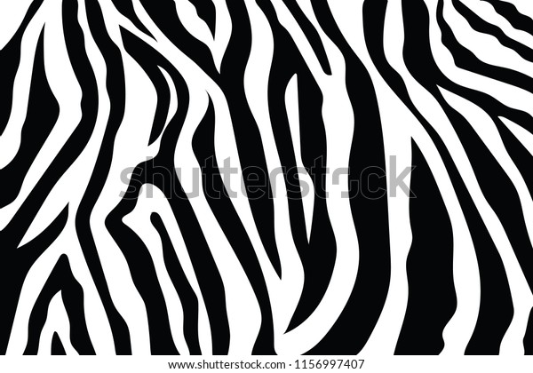 Zebra Stripes Pattern Zebra Print Animal Stock Vector (Royalty Free ...