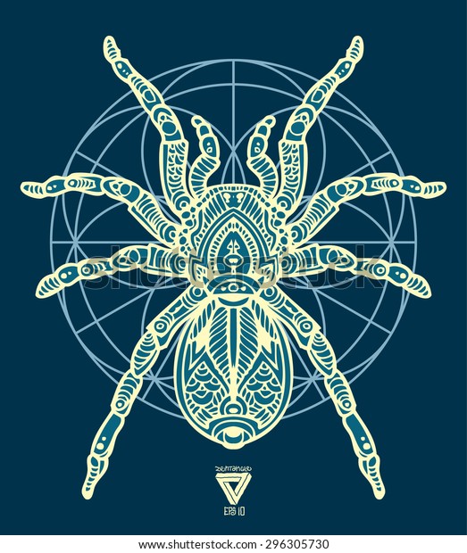 Zentangle Sacred Geometry Lineart Vector Tarantula Stock Vector ...