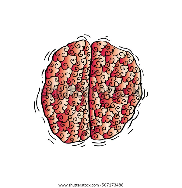 Zentangle Sketchy Human Brain Stock Vector (Royalty Free) 507173488 ...